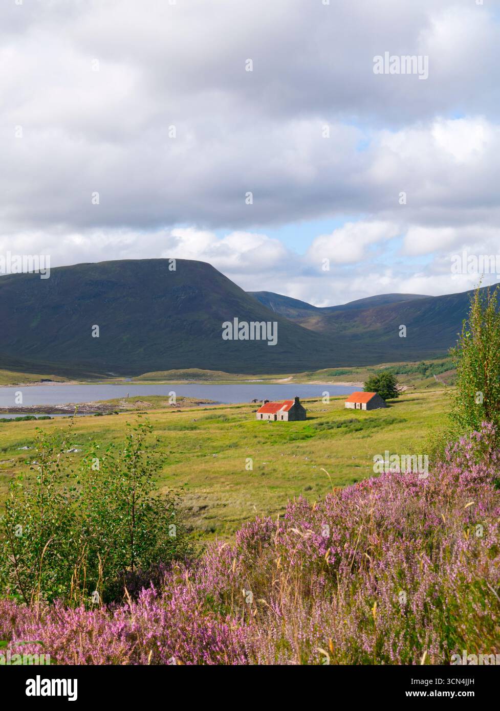 Loch vaich hi-res stock photography and images - Alamy