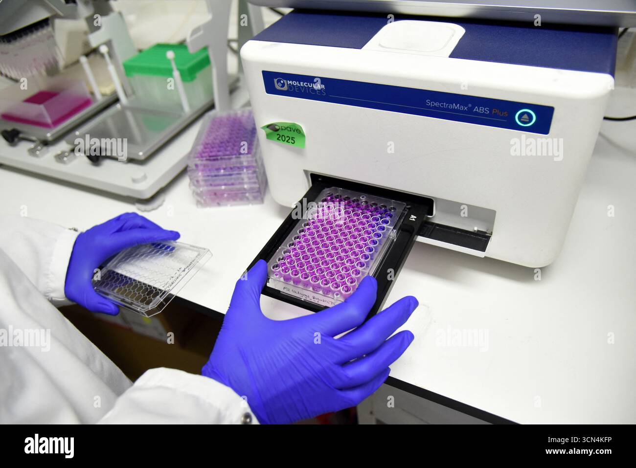 Pasteur Institute, Microbiota Host Interactions laboratory, directed by Benoit Chassaing ...