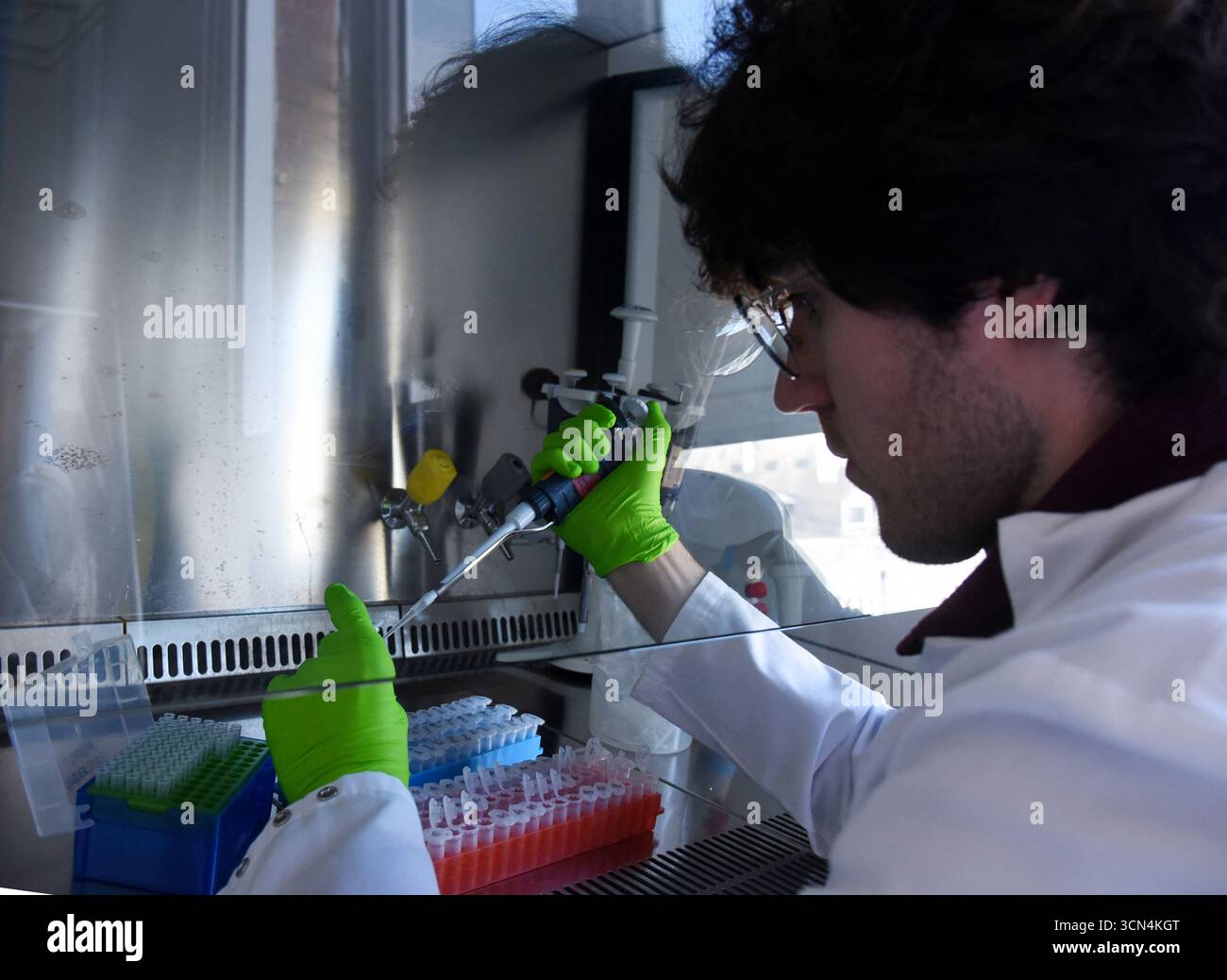 Pasteur Institute, Microbiota Host Interactions laboratory, directed by Benoit Chassaing ...