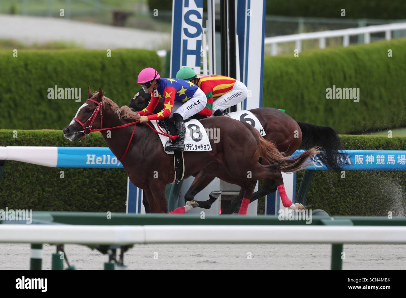 2025/09/13 HANSHIN 02R Idaten Shacho (USA) / Yuga Kawada Jockey Lucky Buck / Joao Moreira Jockey ...