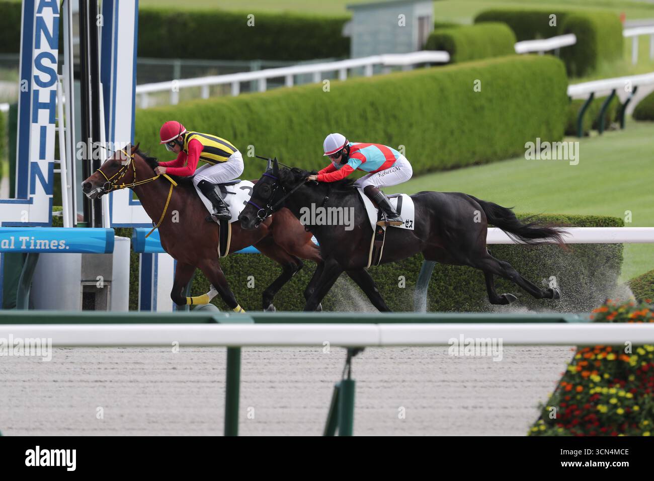 2025/09/13 HANSHIN 01R Norse Mythology / Yuji Hishida Jockey Come Up Roses / Kohei Matsuyama ...