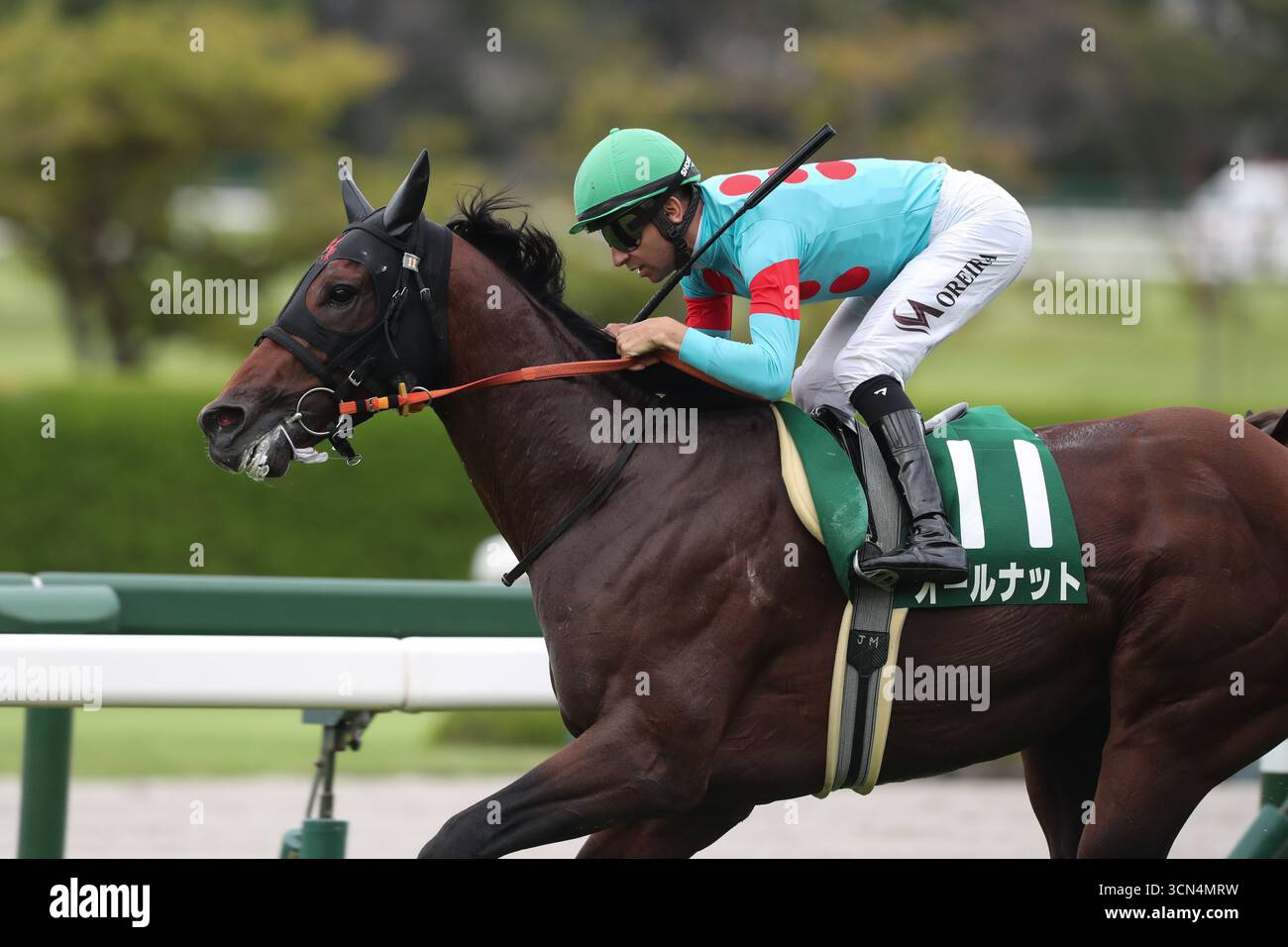 2025/09/13 HANSHIN 11R THE CHALLENGE CUP Allnatt / Joao Moreira Jockey Hanshin Racecourse in ...