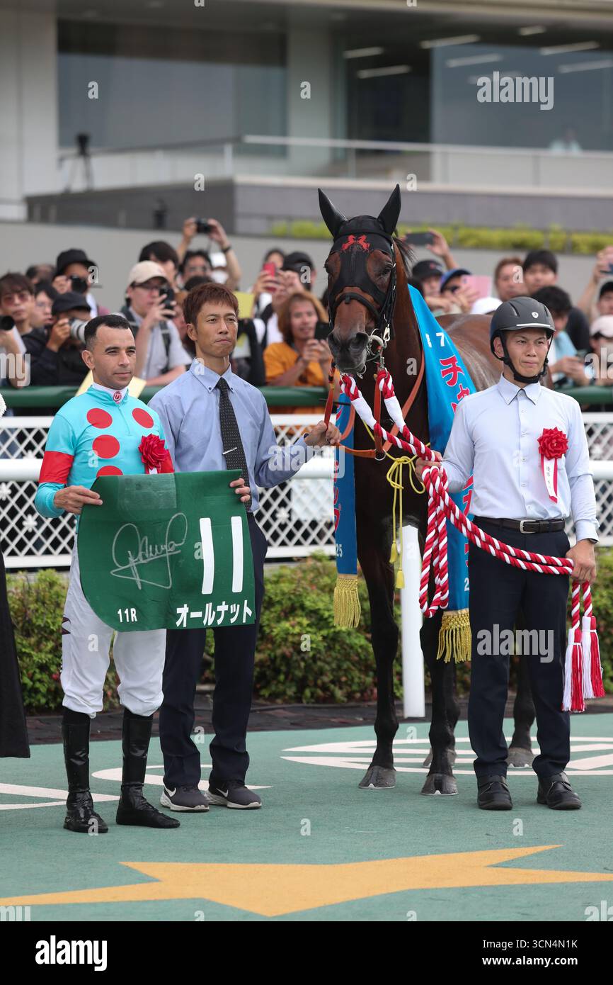 2025/09/13 HANSHIN 11R THE CHALLENGE CUP Allnatt / Joao Moreira Jockey Hanshin Racecourse in ...