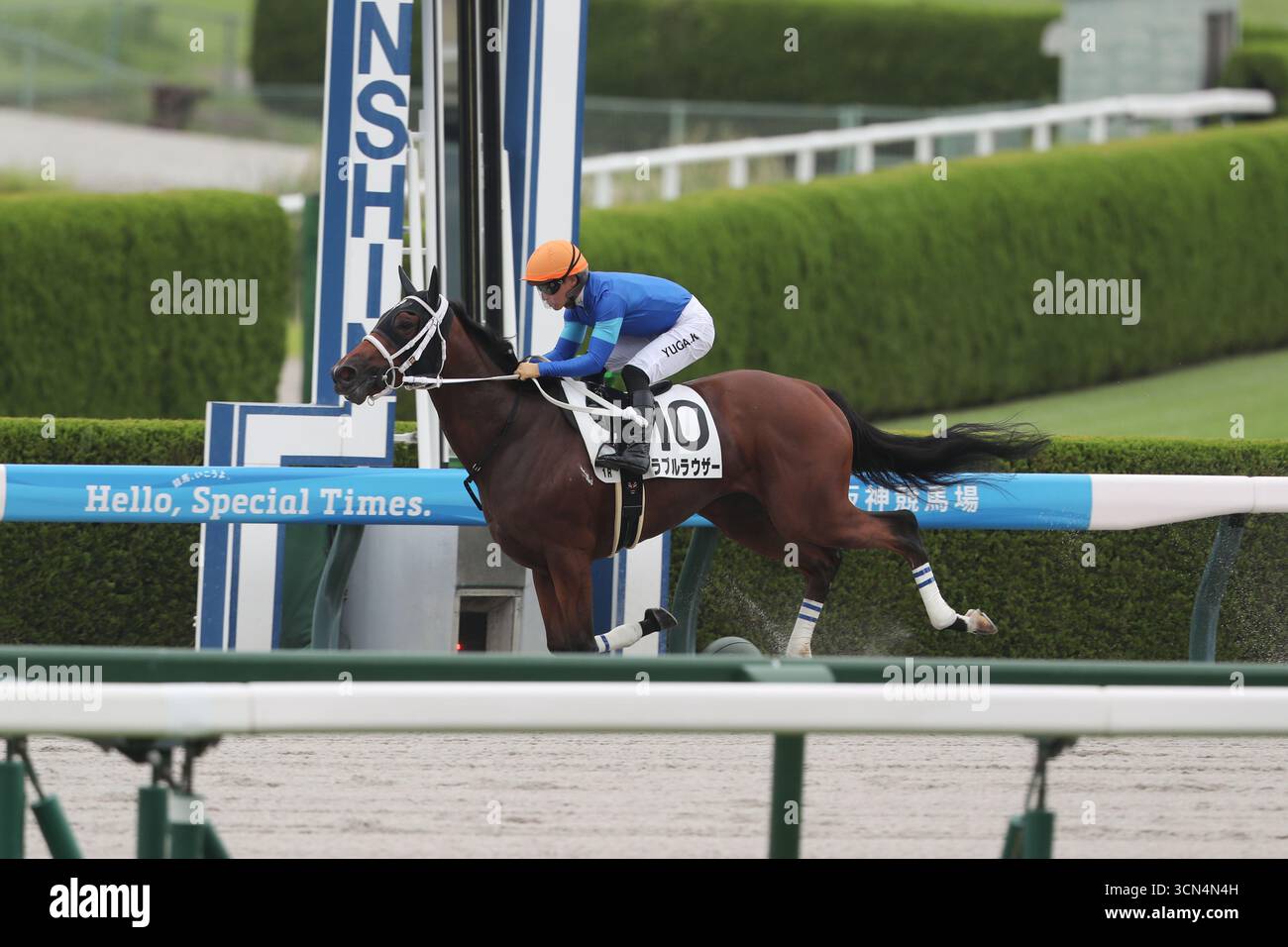 2025/09/14 HANSHIN 01R Rabble Rouser / Yuga Kawada Jockey Hanshin Racecourse in Hyogo, Japan on ...