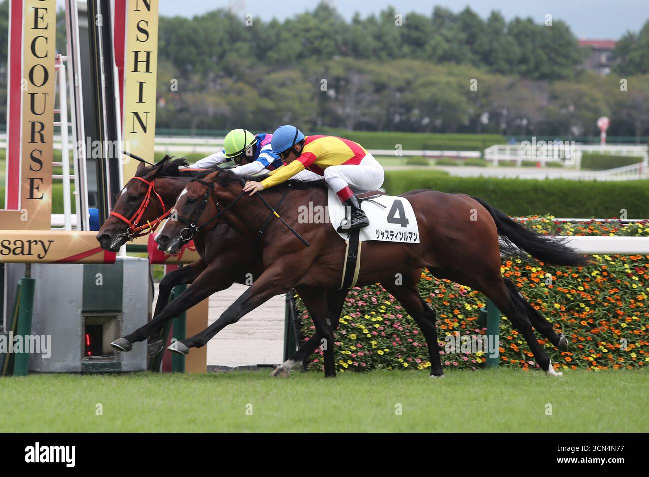 2025/09/14 HANSHIN 05R Justin Le Mans / Christophe Lemaire Jockey Blue Sky Blue / Ryuji Wada ...