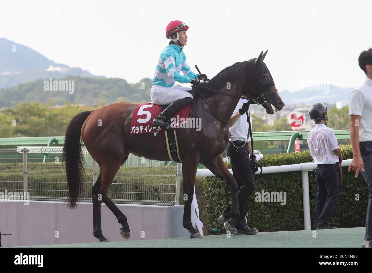 2025/09/14 HANSHIN 11R THE KANSAI TELEVISION CO. LTD. SHO ROSE STAKES ...