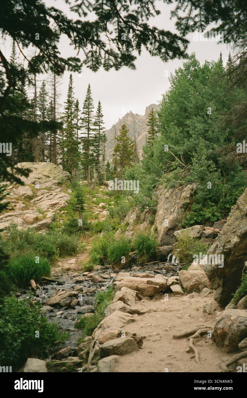 Hiking trail through aspen hi-res stock photography and images - Alamy