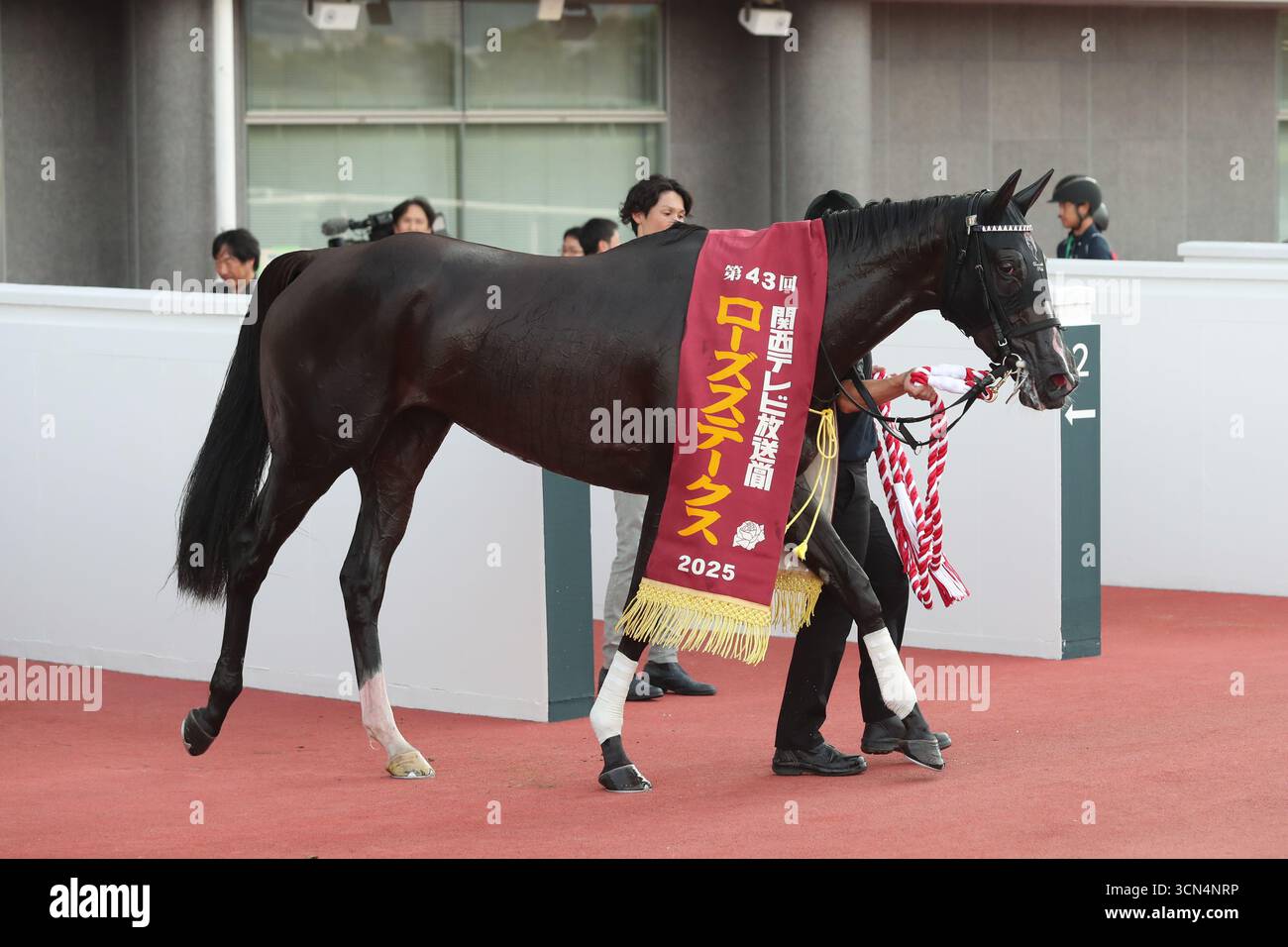 2025/09/14 HANSHIN 11R THE KANSAI TELEVISION CO. LTD. SHO ROSE STAKES ...