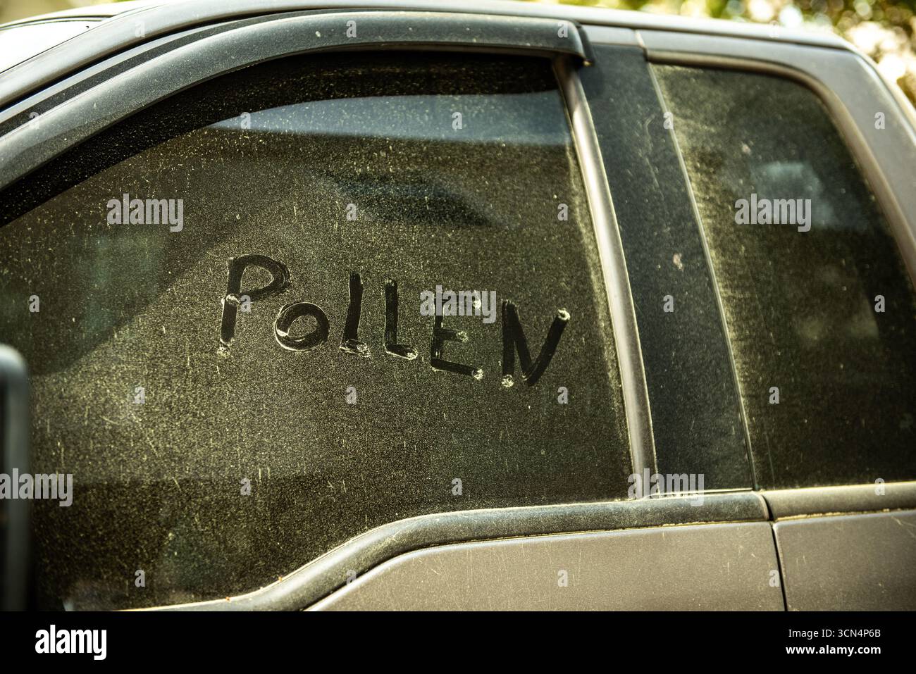 The word pollen written in a coating of pine pollen on a car window ...