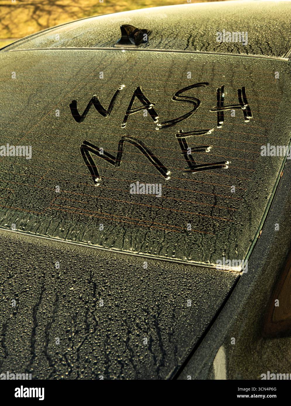 "wash me" written in a coating of pine pollen on a car window Stock ...