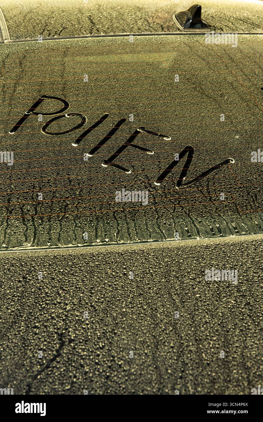 The word pollen written in a coating of pine pollen on a car window ...