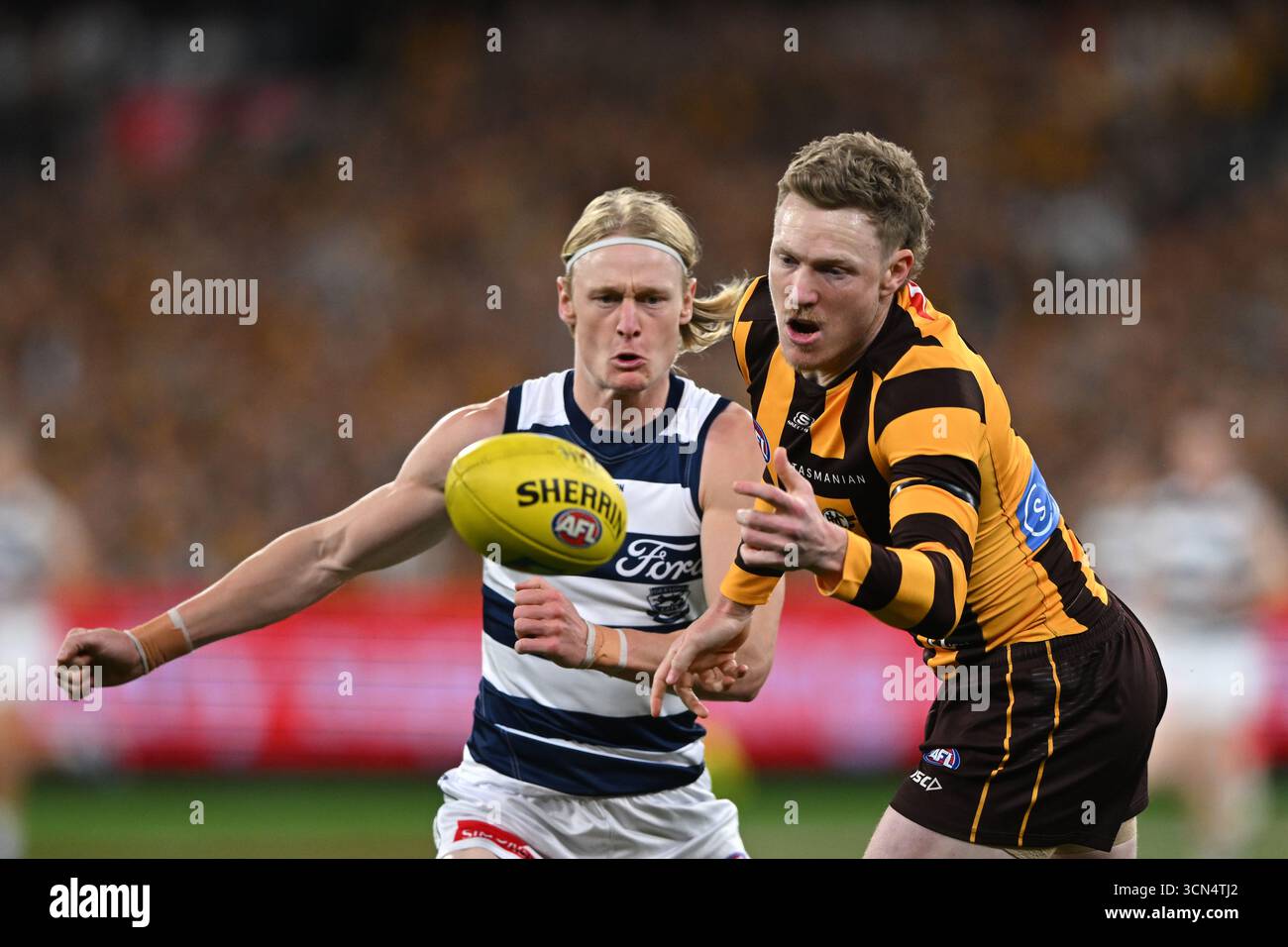 Oliver Dempsey of Geelong (left) and James Sicily of the Hawks in ...
