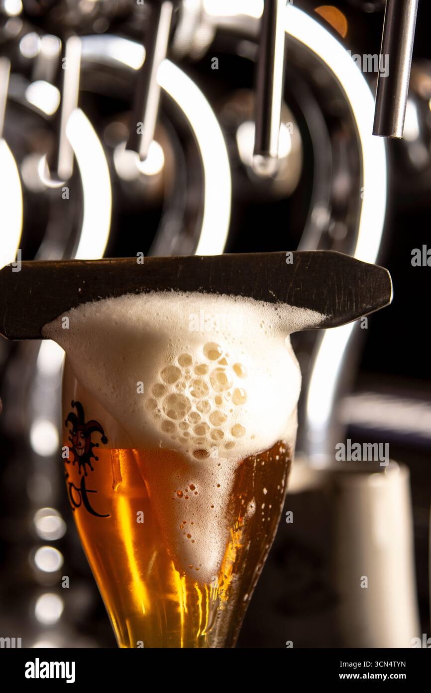 Beer poured glass creating foamy hi-res stock photography and images ...