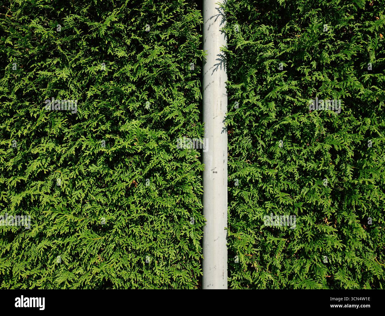 Green texture metal fence hi-res stock photography and images - Alamy