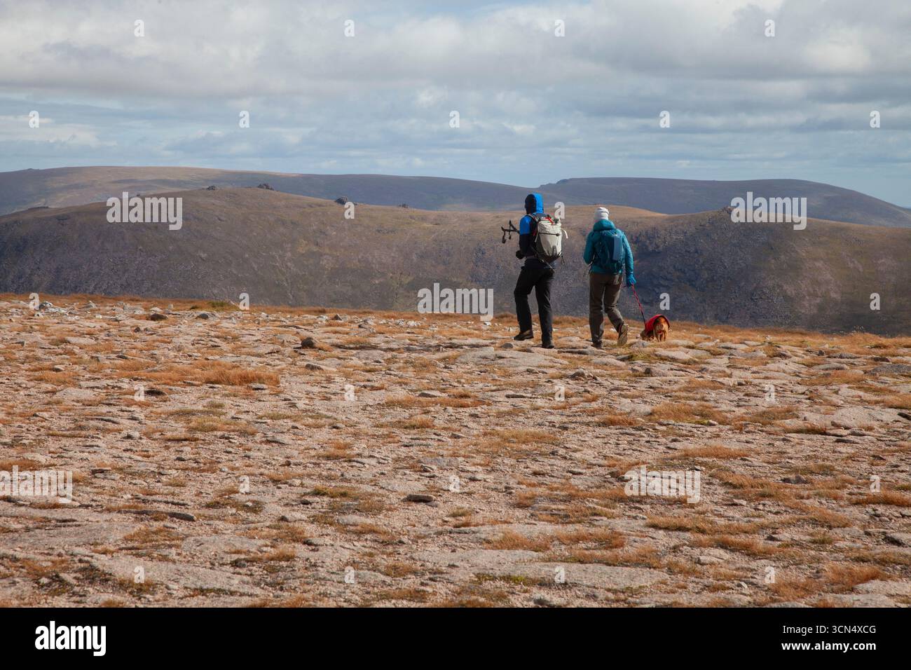 Tourists hiking, with their dog, at Cairngorm Mountain ski resort ...