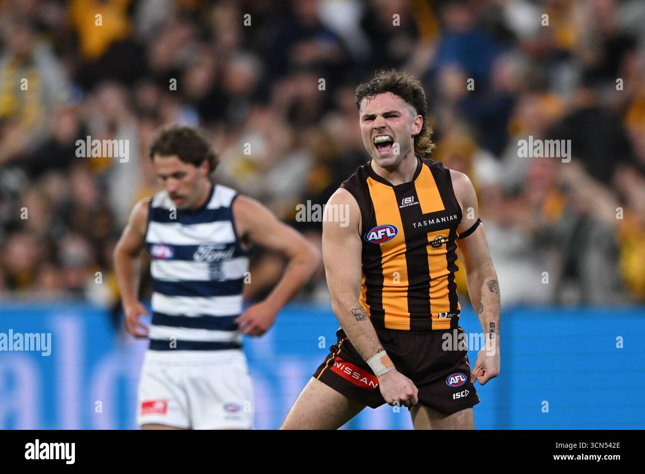 Nick Watson of the Hawks (right) reacts after kicking a goal during the ...