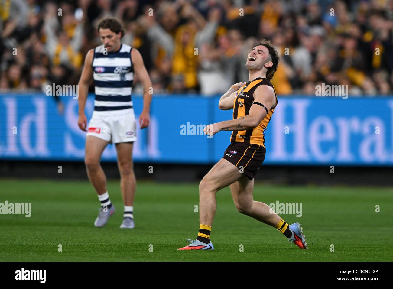 Nick Watson of the Hawks (right) reacts after kicking a goal during the ...