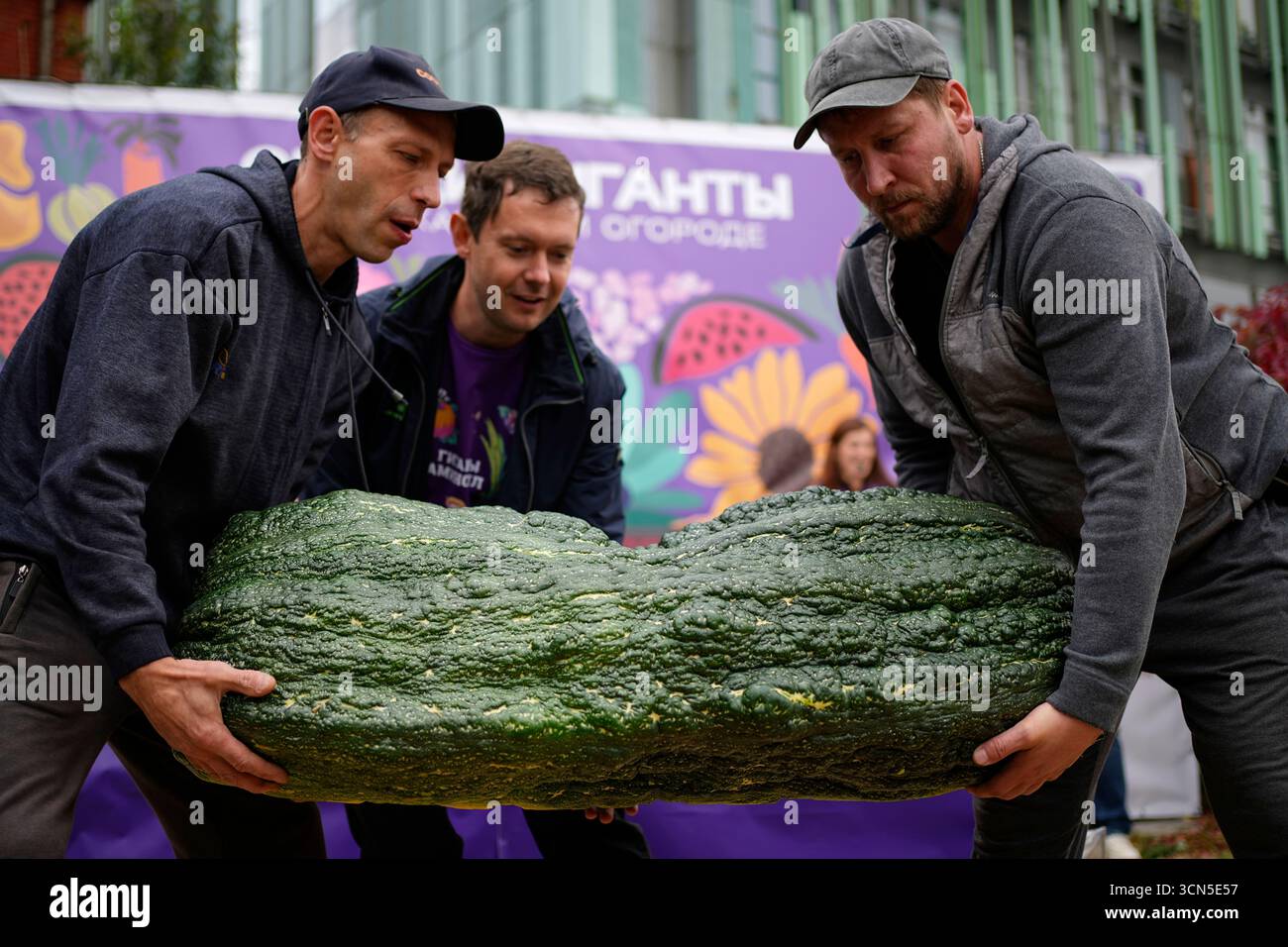 Men carry a giant zucchini during a weigh-in competition prior to the ...