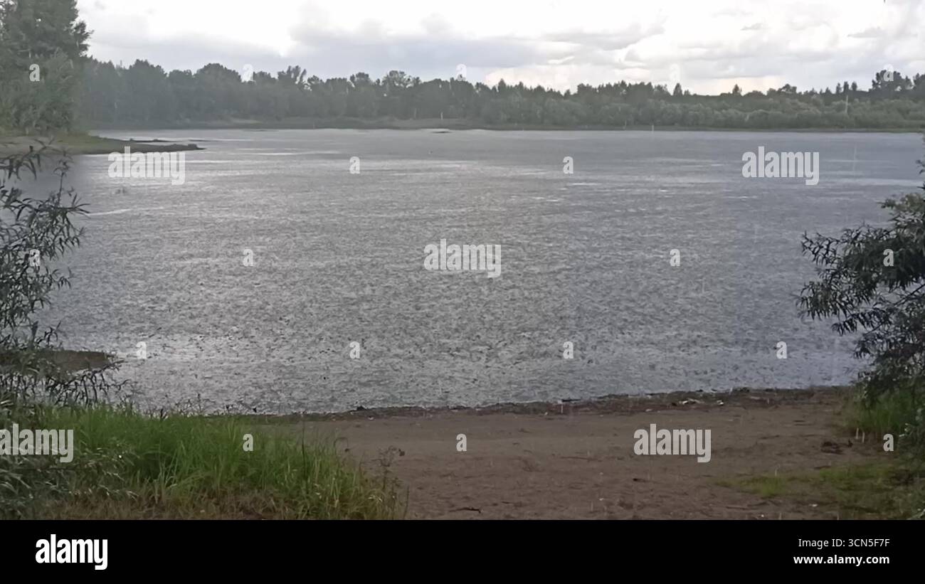View through a clearing in the bushes onto the surface of a wide lake ...