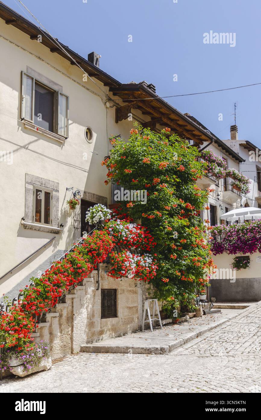 View of a building with orange trumpet vine cascading down stairs and ...