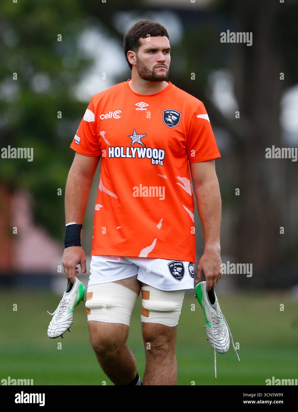 JJ Scheepers of the Hollywoodbets Sharks during Hollywoodbets Sharks ...