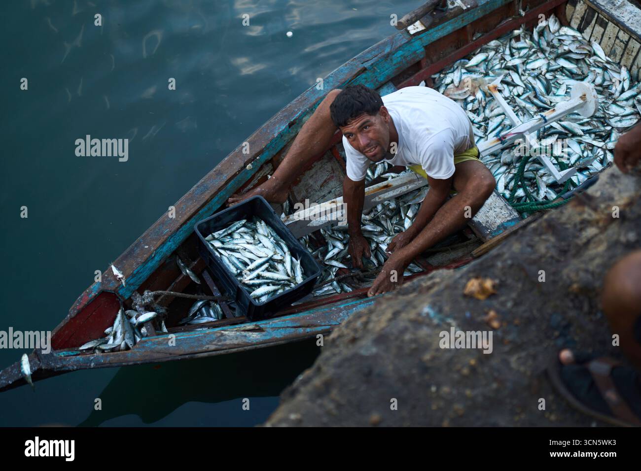A fisherman arrives with his day's catch at the fishing port in Cumana ...