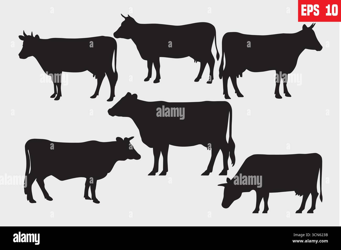 Dairy cow breed Stock Vector Images - Alamy