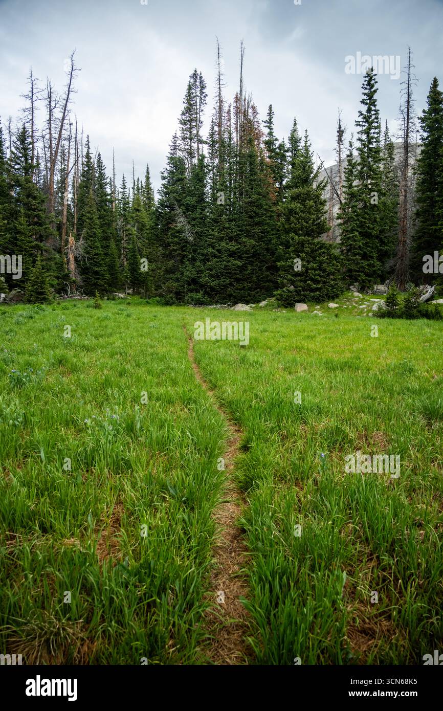 Faint Trail Cuts Through Meadow High In Rocky Mountain National Park ...