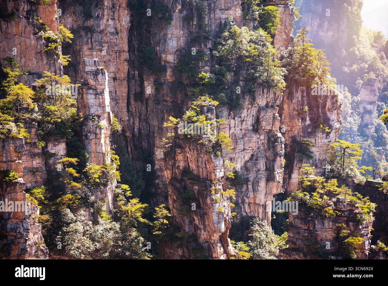 Avatar mountains in Zhangjiajie, China. Natural landmark and popular ...