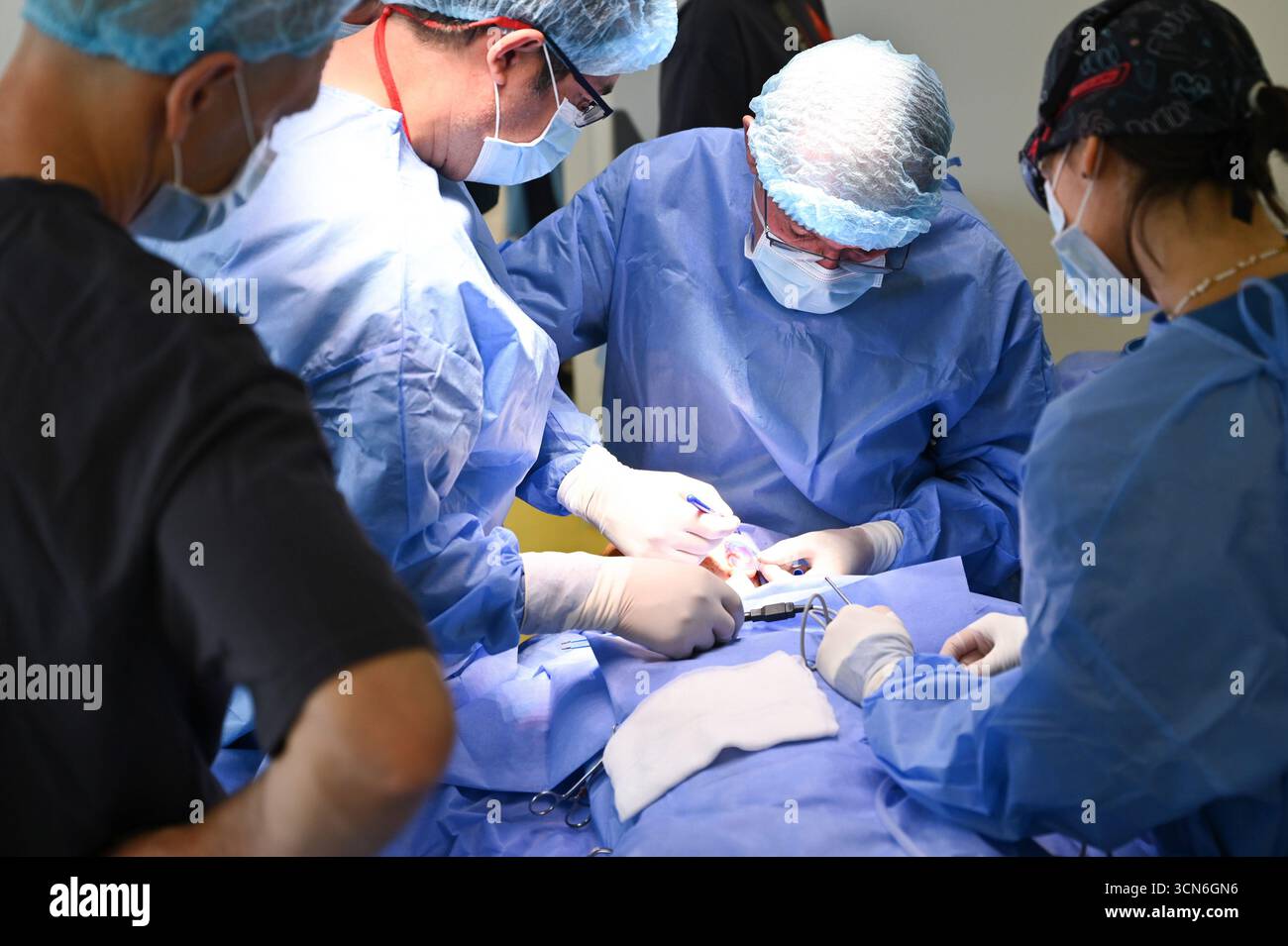 Non Exclusive: A team of leading reconstructive and plastic surgeons ...