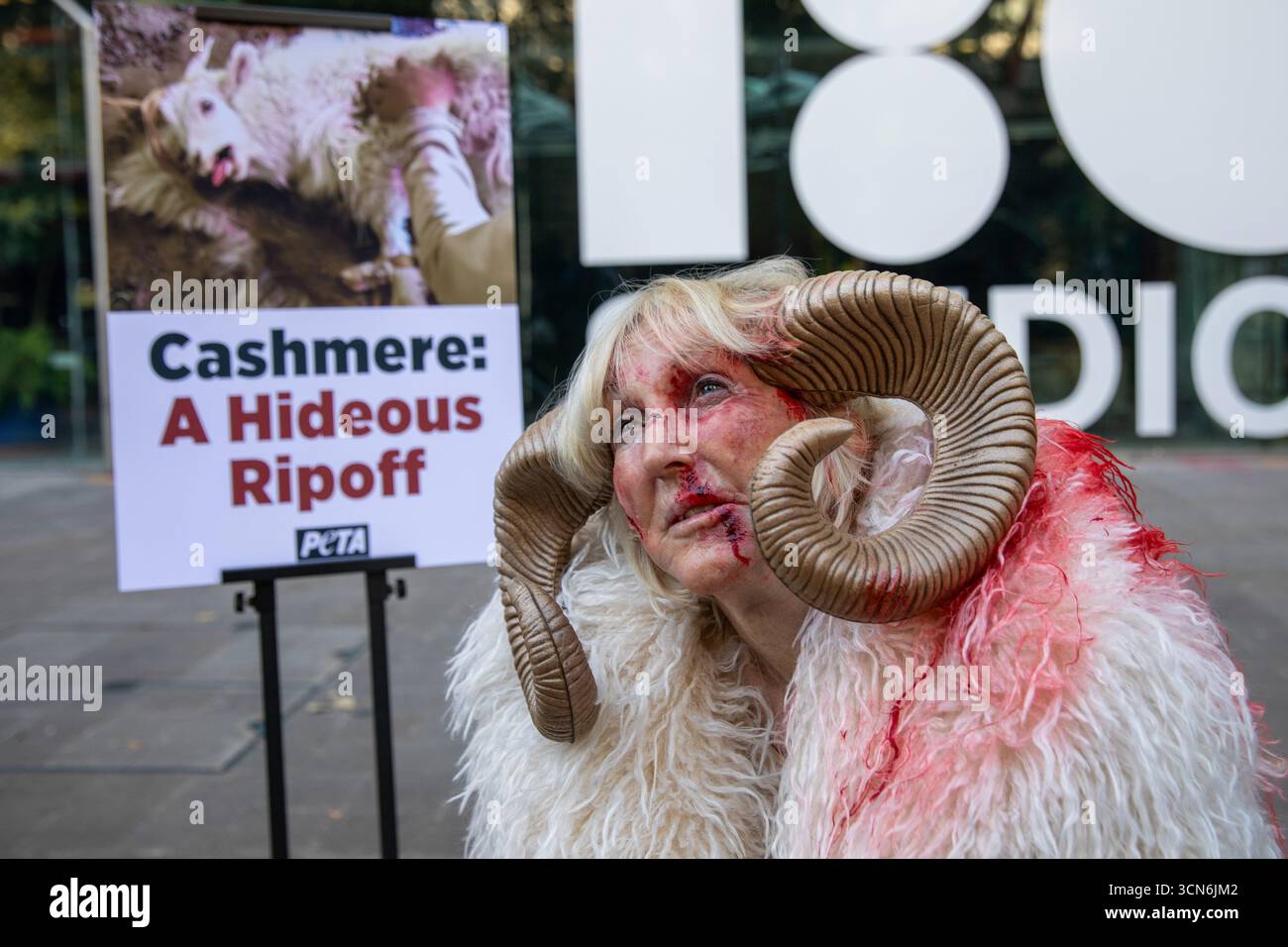 A member of PEATA dressed as a goat, covered in blood sits in-front of ...