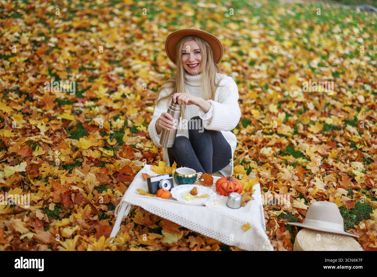 Fall picnic with pumpkins, thermos, and cozy seasonal vibes Stock Photo ...