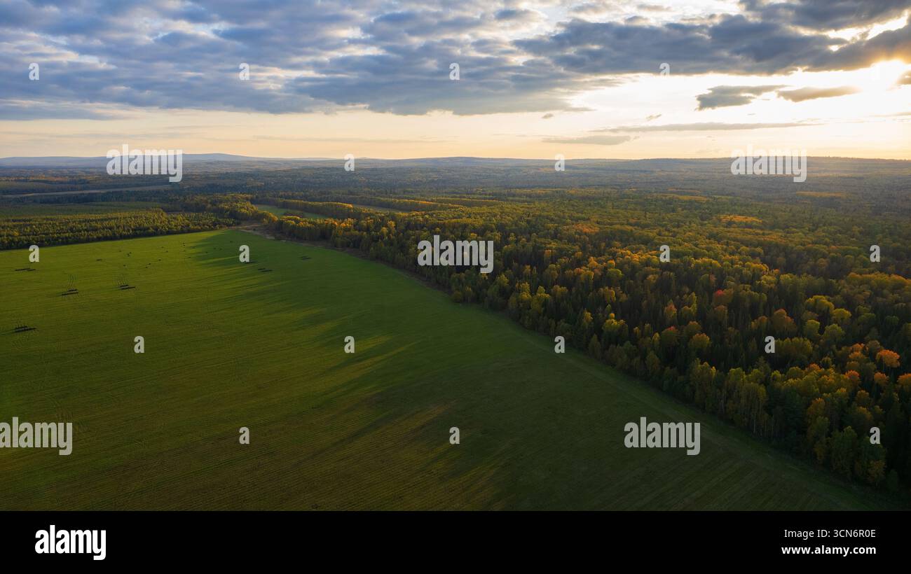 Aerial View of Green Fields, Forest and Lake at Sunset Stock Photo - Alamy