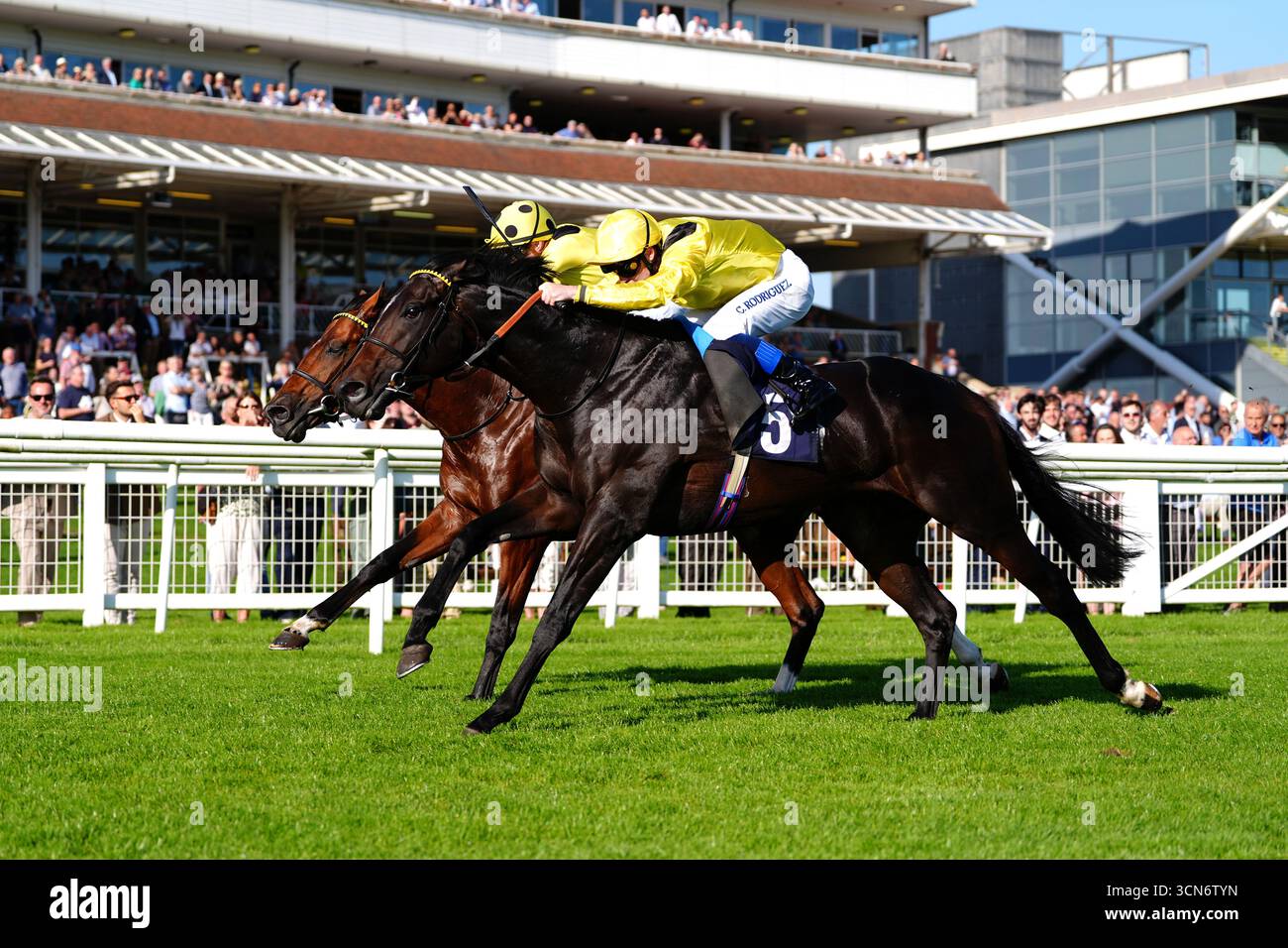 Remmooz ridden by jockey Callum Rodriguez (front) wins the Dubai Duty ...