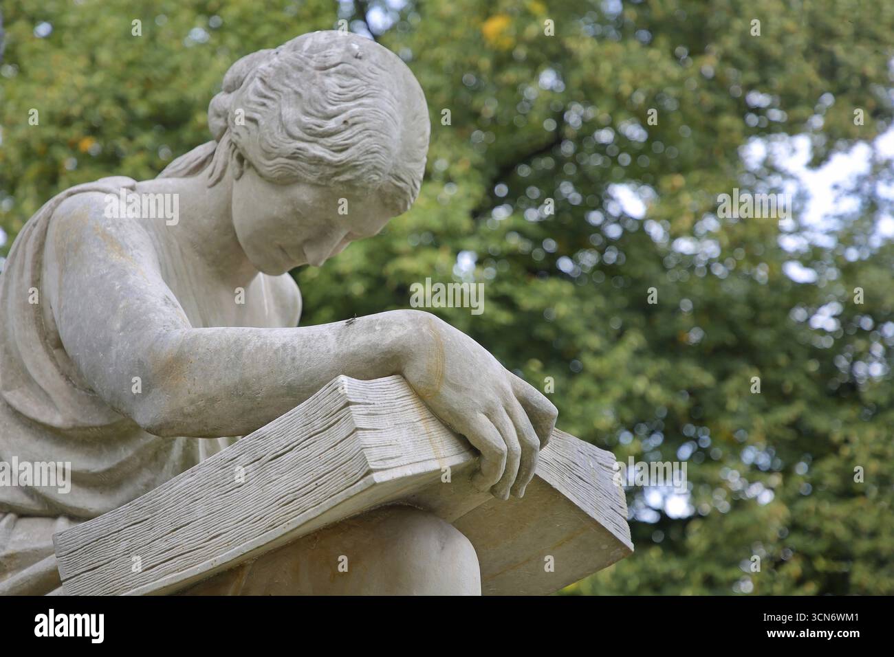 Seated white female figure reading a thick book as a symbol of science ...