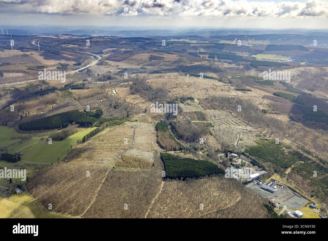 Aerial photo, forest damage in the Baudenberg forest area, Zeppenfeld ...
