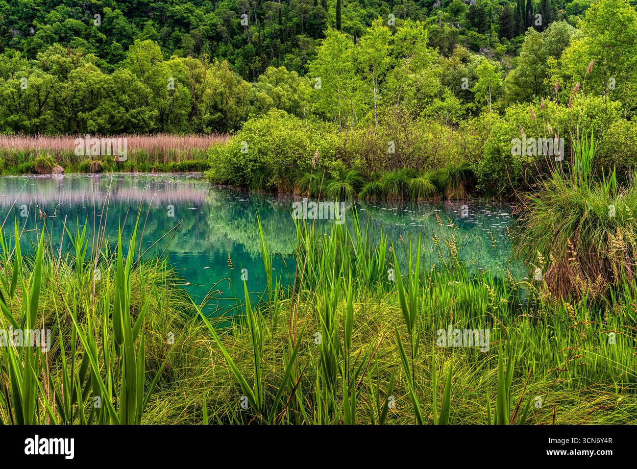 Posta fibreno lake island hi-res stock photography and images - Alamy