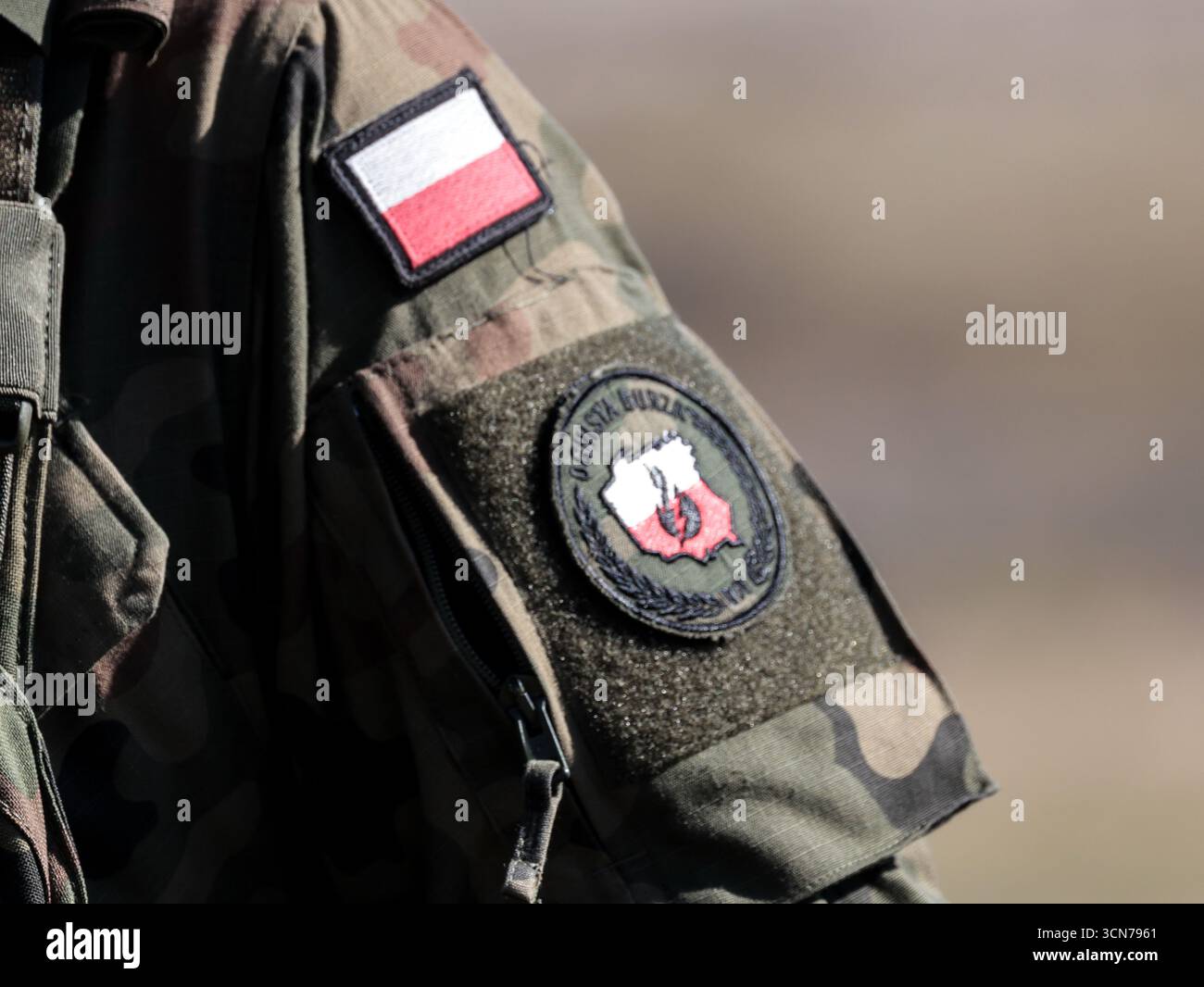 A Polish infantry soldier of the Territorial Defense Forces poses ...