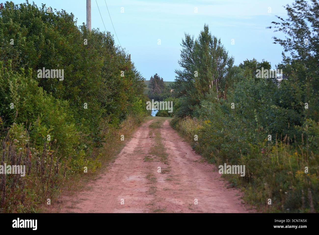 Red dirt road through hi-res stock photography and images - Alamy