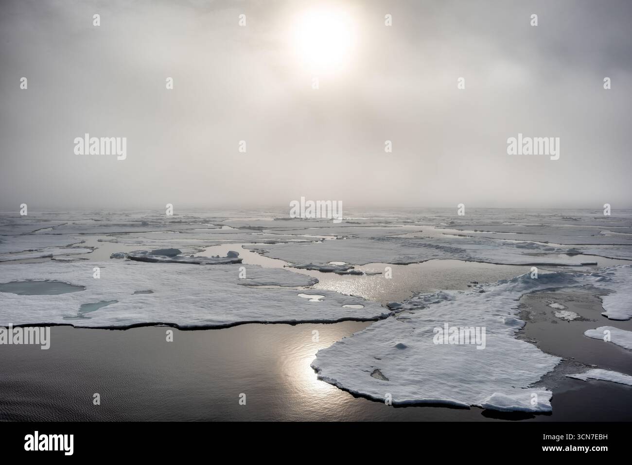 Sjuoyane Seven Islands Svalbard Arctic Ocean Norway // SVALBARD, Norway ...