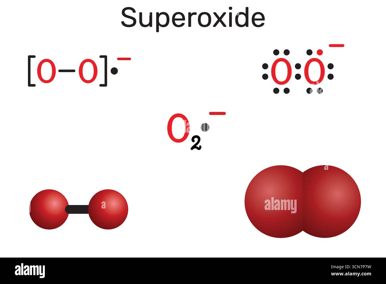 Superoxide radical anion molecule. Reactive oxygen species (ROS ...