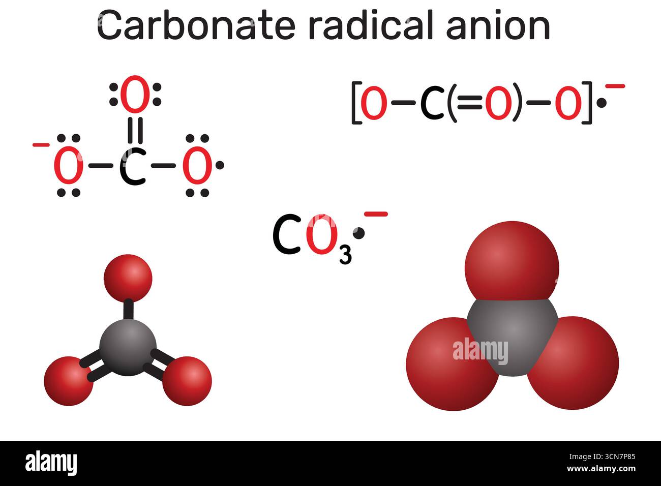 Carbonate radical anion molecule. Reactive oxygen species (ROS ...