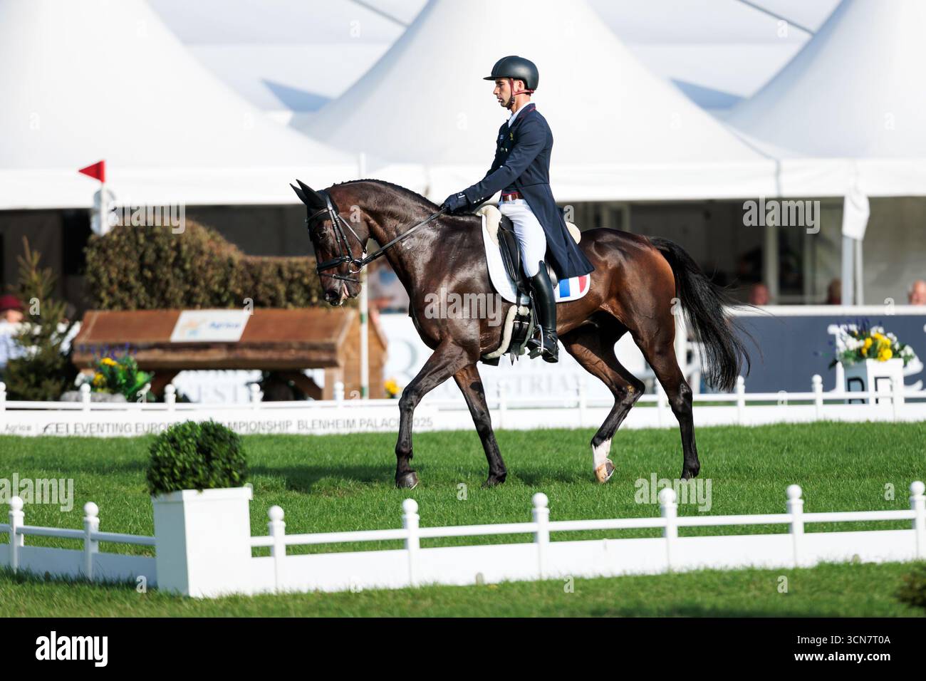 Astier Nicolas of France with Alertamalib'or during the dressage at the ...