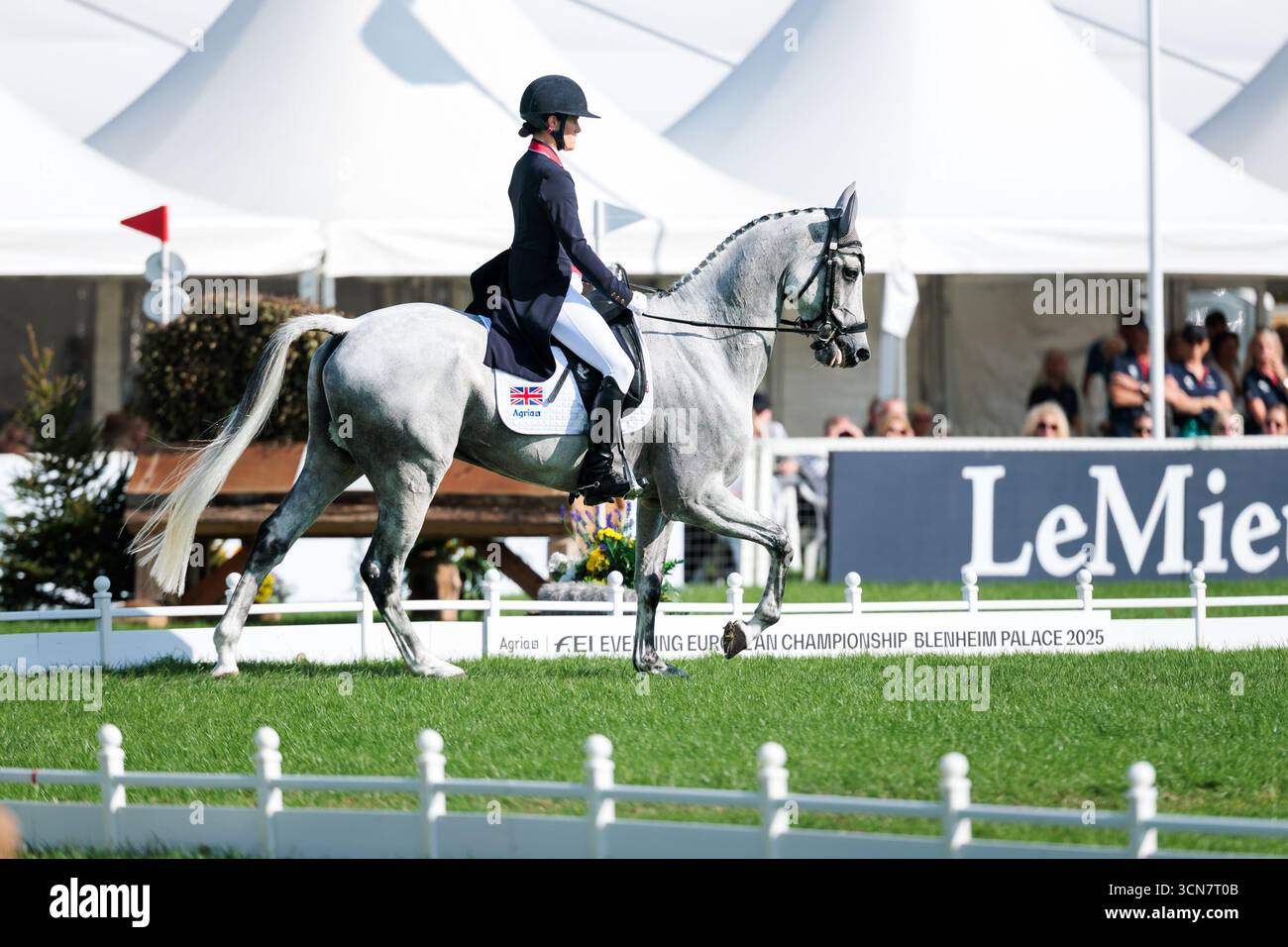 Bubby Upton of Great Britain with Its Cooley Time during the dressage ...