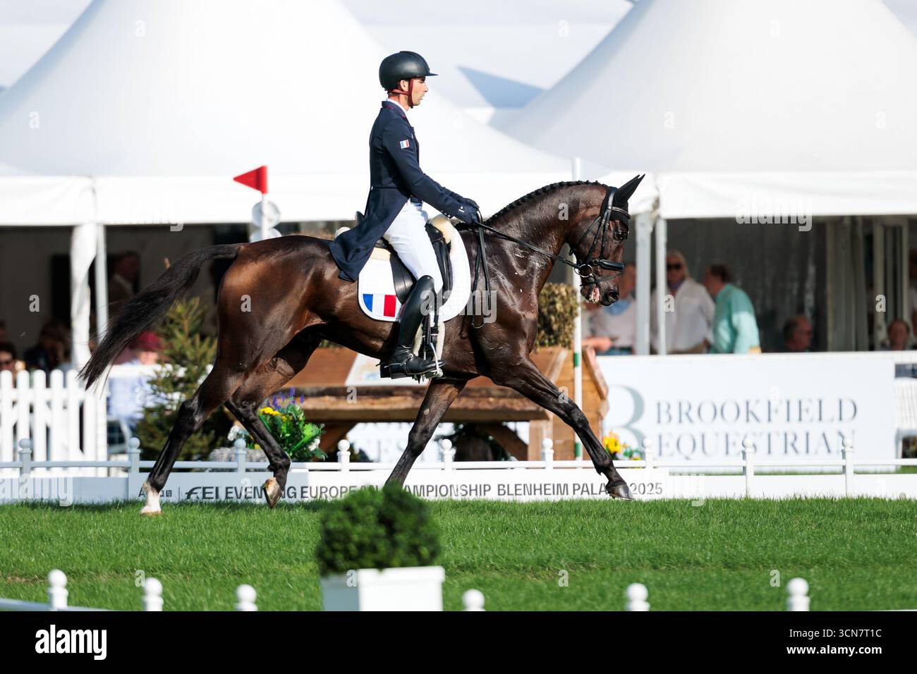Astier Nicolas of France with Alertamalib'or during the dressage at the ...
