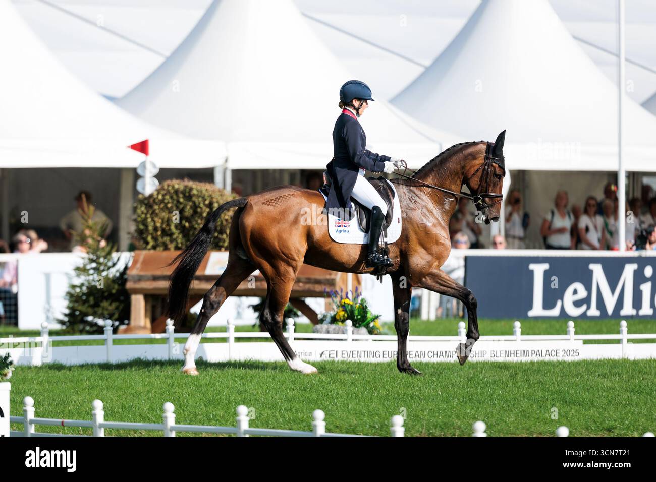 Laura Collett of Great Britain with London 52 during the dressage at ...