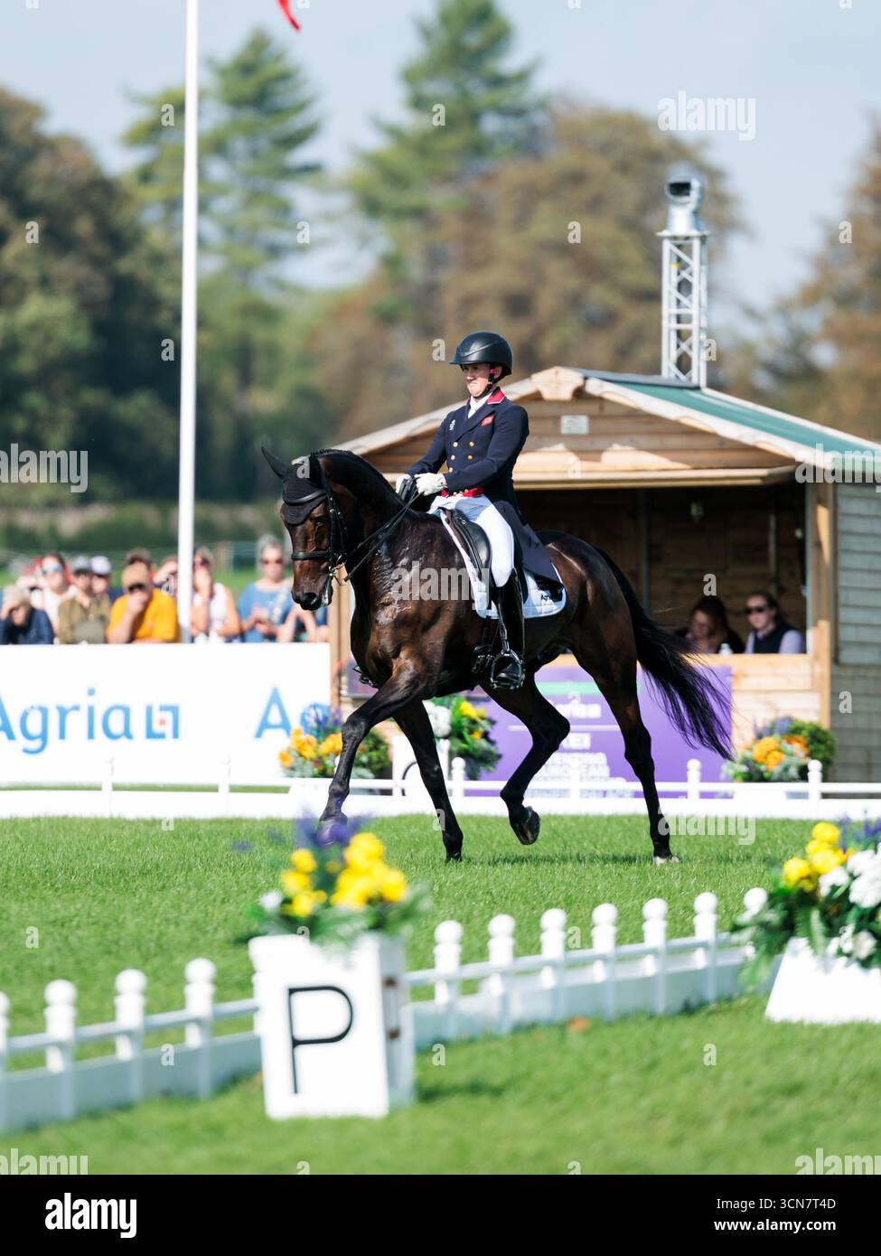 Tom Mcewen of Great Britain with Jl Dublin during the dressage at the ...