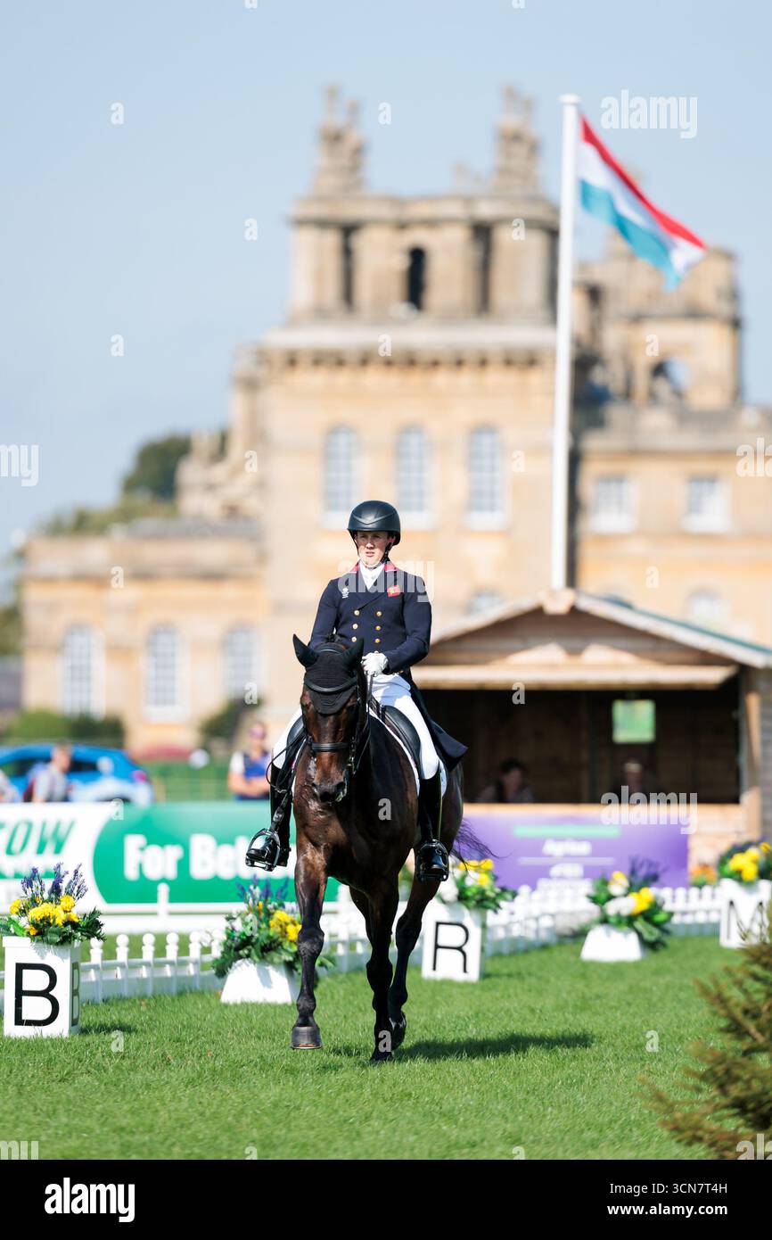 Tom Mcewen of Great Britain with Jl Dublin during the dressage at the ...