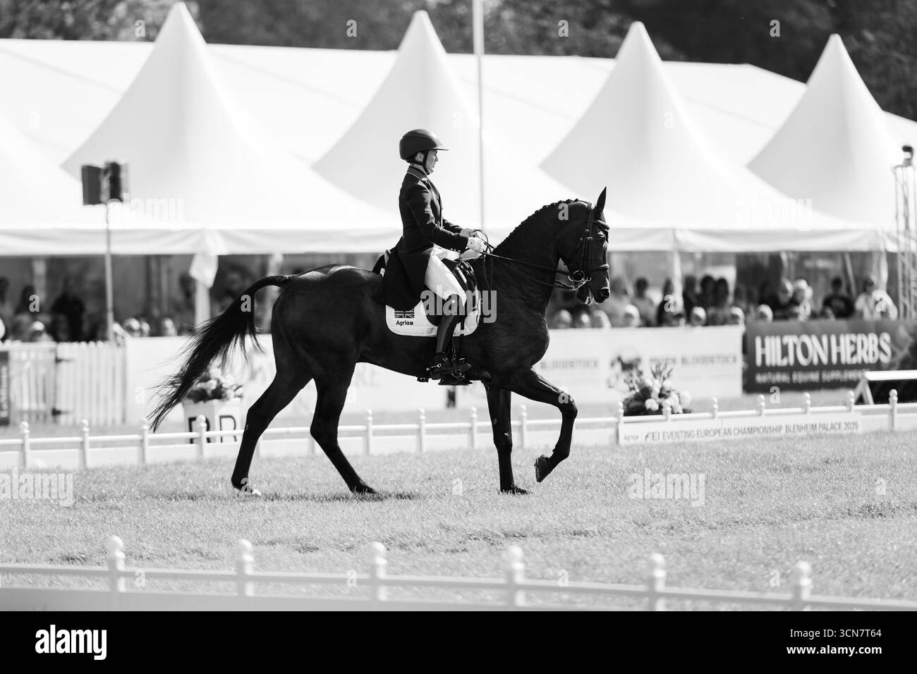 Tom Mcewen of Great Britain with Jl Dublin during the dressage at the ...