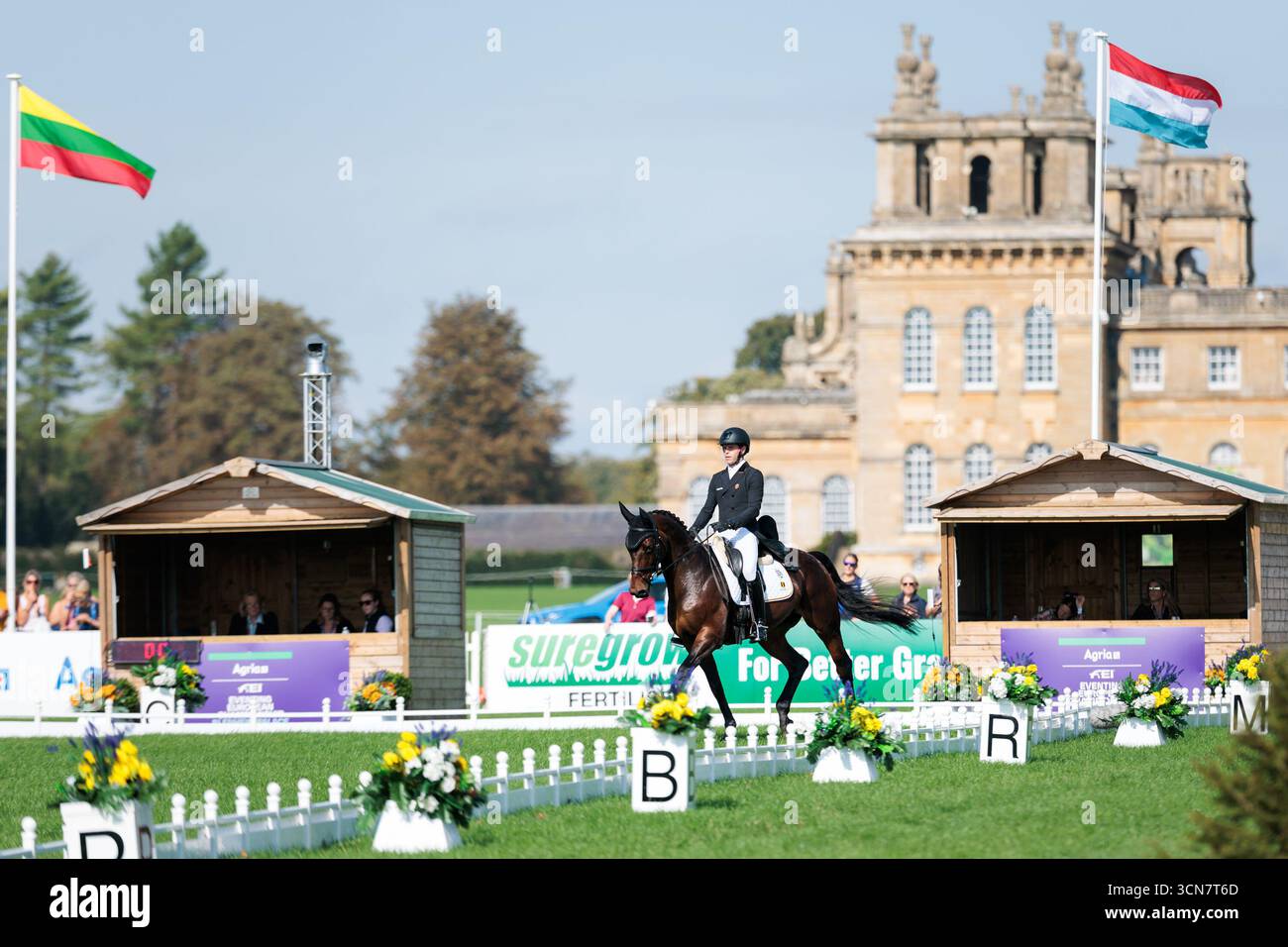 Wouter De Cleene of Belgium with Quintera during the dressage at the ...